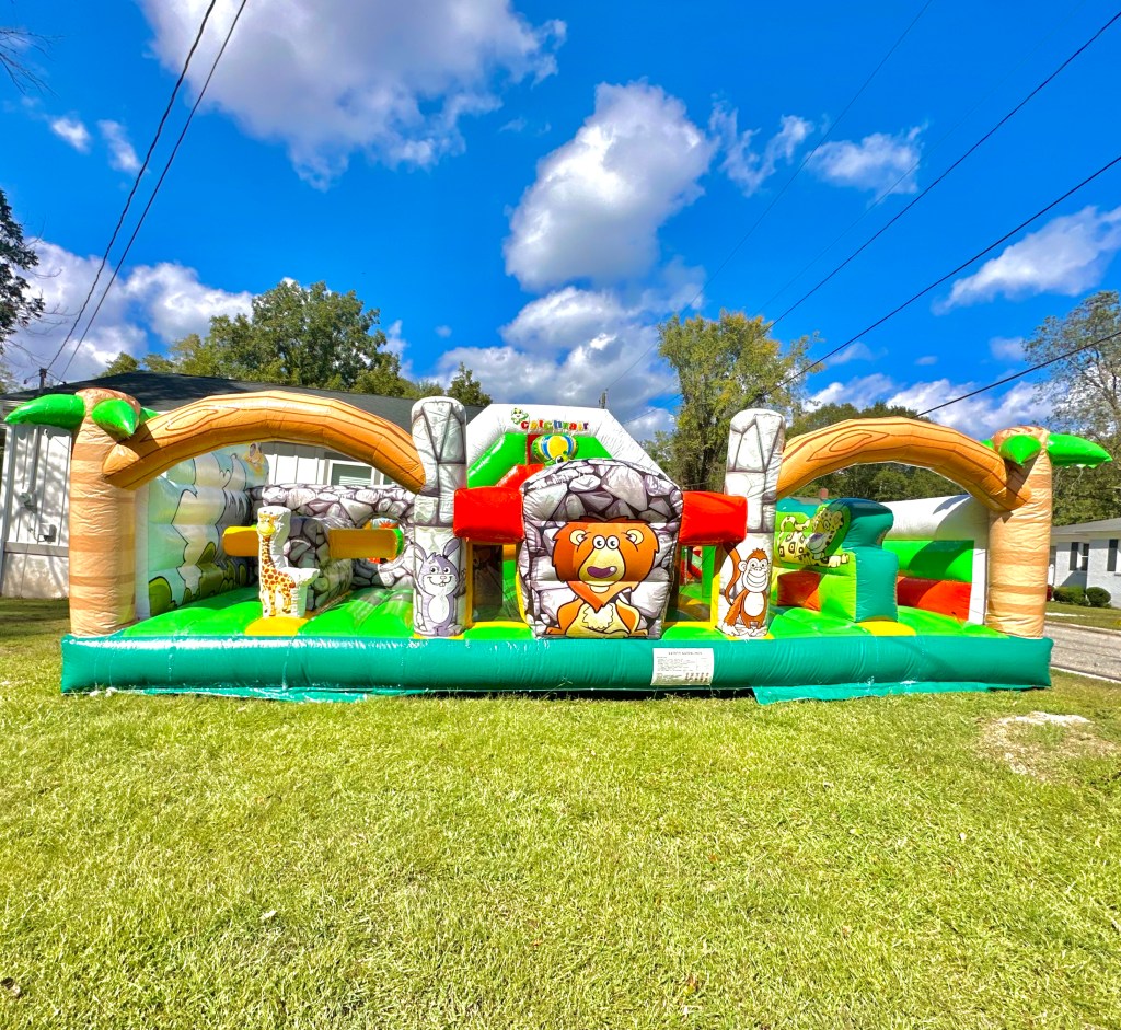 Backyard Party Rentals – Birthdays, Youth Activities, Corporate Events